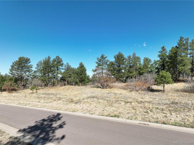 8125 Pine Straw Place