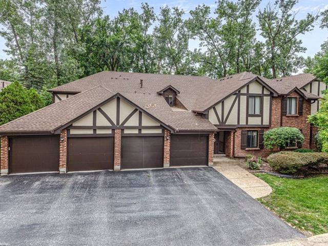 8127 Chestnut Dr Unit 58C, Palos Hills, IL 60465