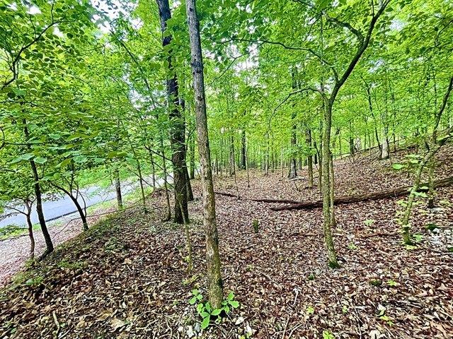 8128 W Clear Creek Rd, Kansas, OK 74347