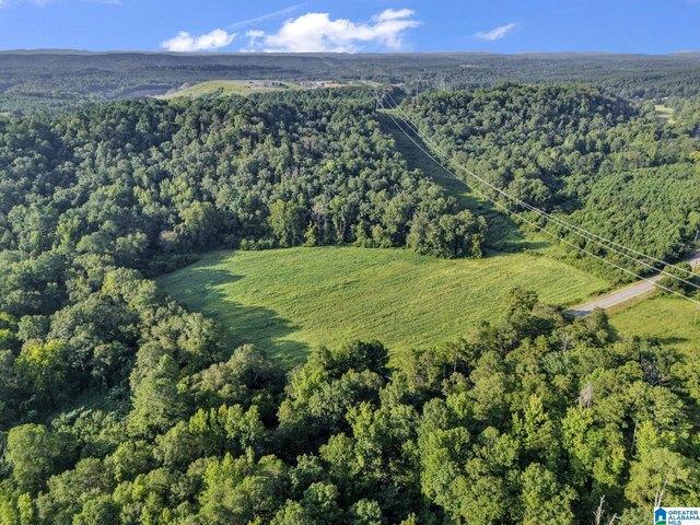 8121 River Rd Lot 1, Warrior, AL 35180