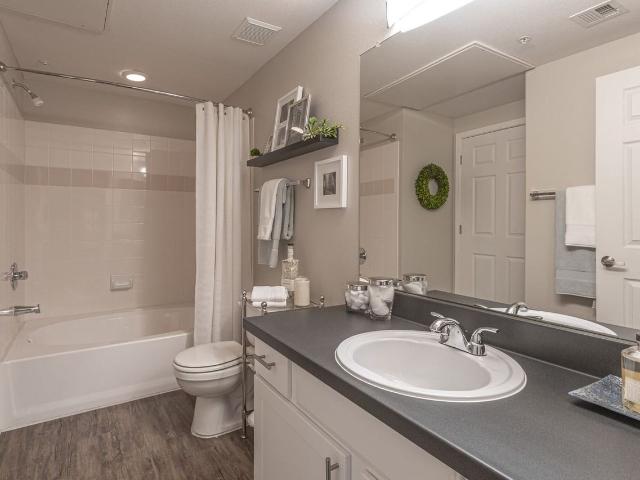 812 Crystal Springs 2 Bedroom Apartment for Rent at 11885 W Mcdowell Rd, Avondale, AZ 85392 Crystal Springs