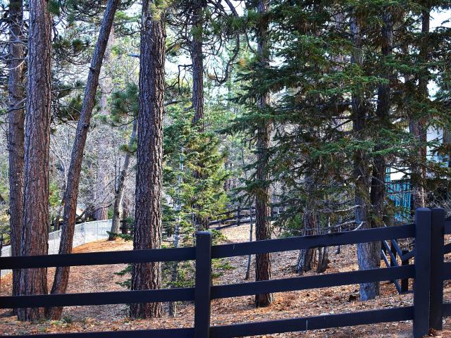 812 Ford Lane, Big Bear Lake, US, CA