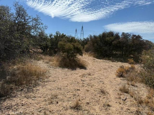 8135 Joshua St, Phelan, CA 92371 | MLS #HD25031 | Compass