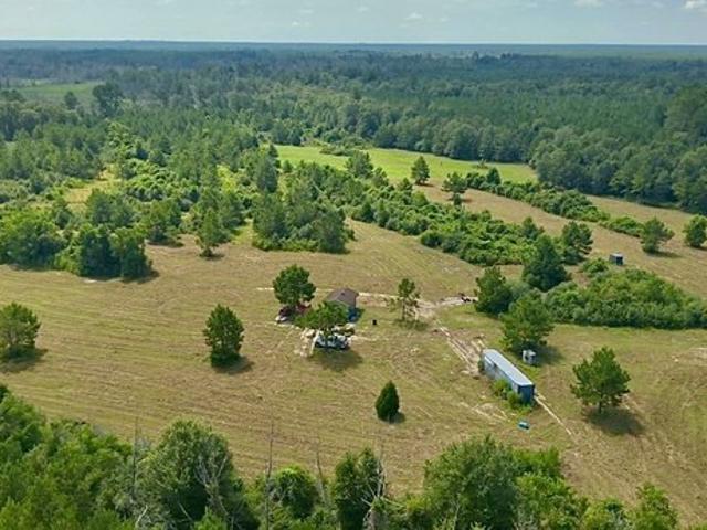 81363 George Sanner Rd, Village Mills, TX 77663
