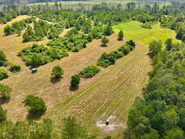 81363 George Sanner Rd
