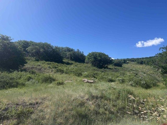 813 Cornestone Loop, Montrose, CO 81403