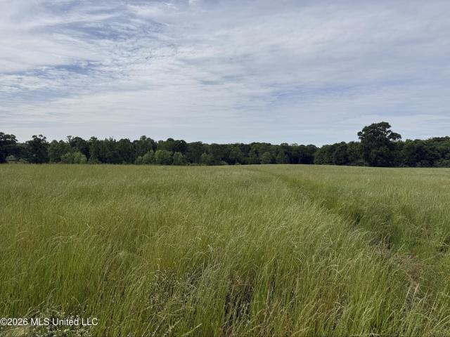 813 Holmesville Road