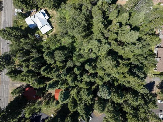 813 Reedy Ln, McCall, ID 83638 | MLS #98982
