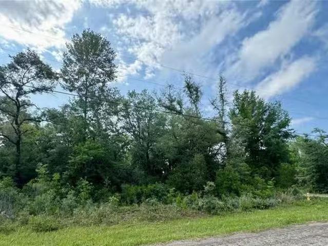 8143 N VOYAGER DR, CITRUS SPRINGS, FL 34433 Vacant Land For Sa.