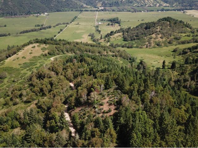 8143 tiller trail hwy