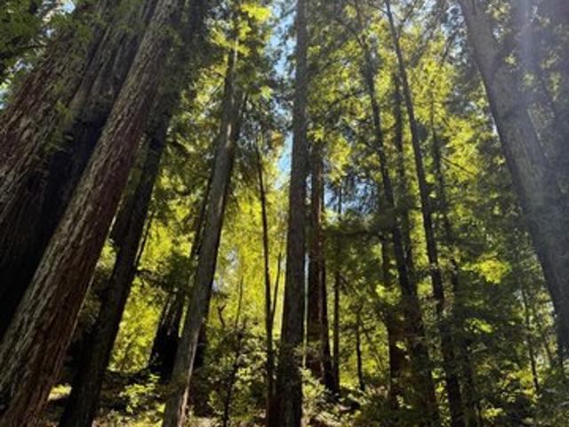 8158 Mill Creek Rd, Healdsburg, CA 95448