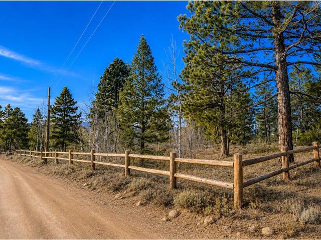 815 Cougar Run, Nederland, CO 80466 | MLS #1049