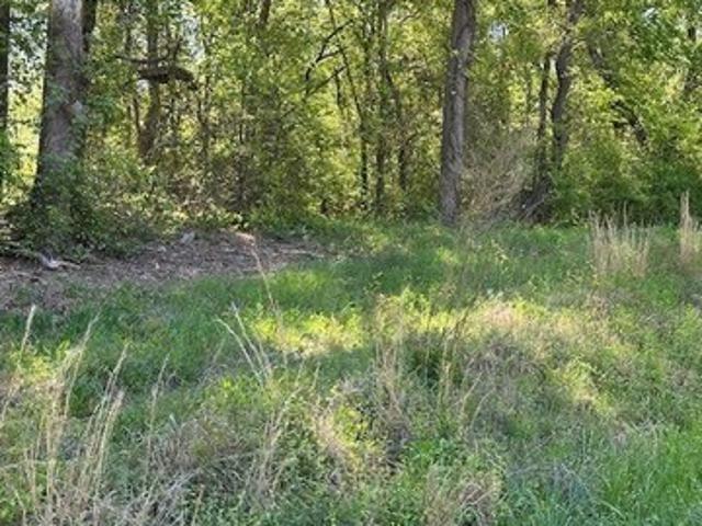 815 Aj Irvin, Talmo, GA 30575