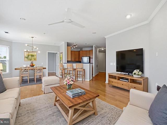 815 Branch Drive # 402