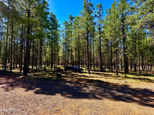 815 Reata Pass, Unit 698, Happy Jack, AZ 86024 | MLS #7020
