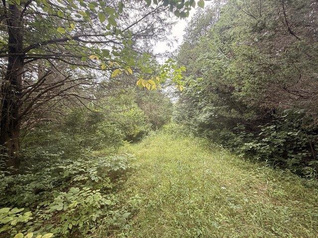815 Waterworks Rd, Williamstown, KY 41097