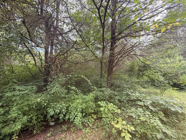 815 Waterworks Road