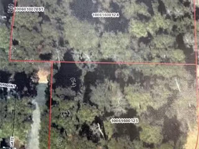 815 WESLEY PINES RD, LUMBERTON, NC 28358 Vacant Land For Sale.