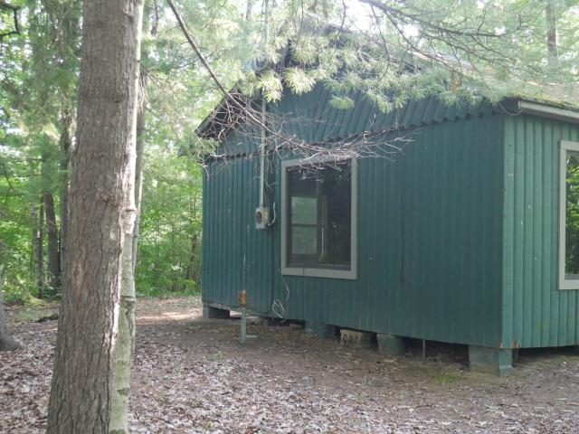 8167 Beech