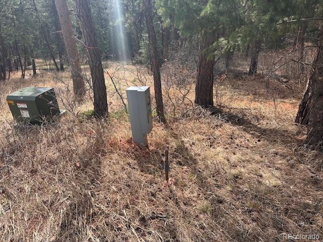 8169 Bannock Dr, Larkspur, CO 80118 | MLS #9171 | Compass