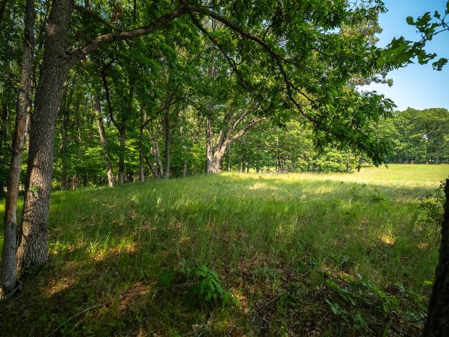 8161 N Hunters Ridge Drive