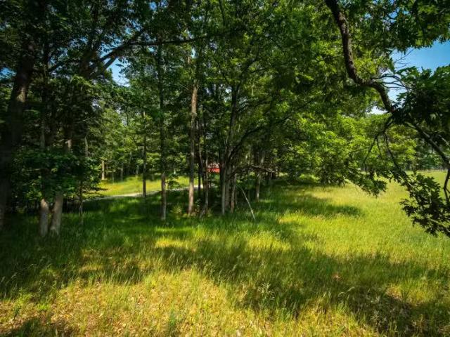 8161 Hunters Ridge Dr, Irons, MI 49644 MLS 25010178