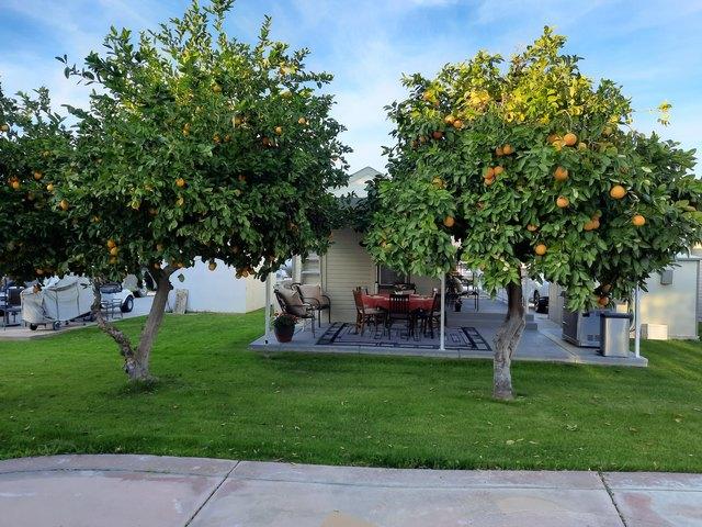 81620 Avenue 49 Unit 231B, Indio, CA 92201