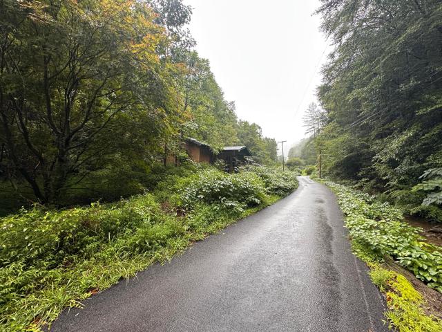 816 Road Creek