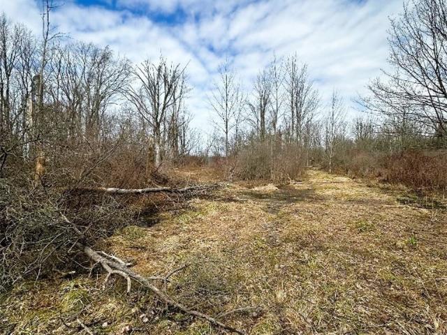8176 Kelly Hill Road