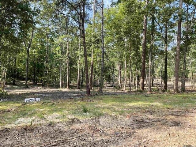 8177 Hepzibah Rd, Clinton, LA 70722