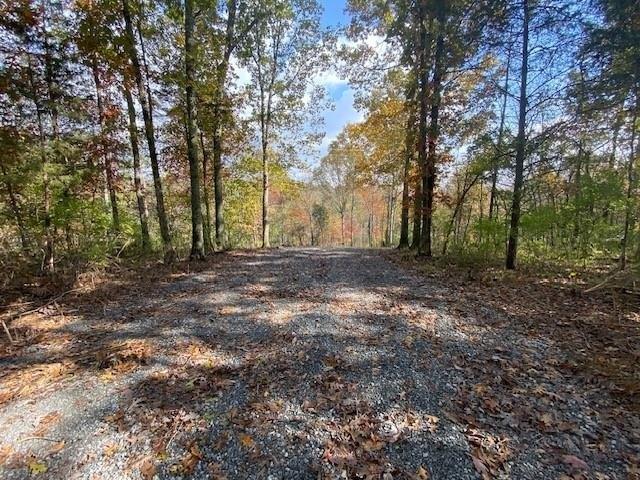 817 Galbraith Rd, Brooksville, KY 41004