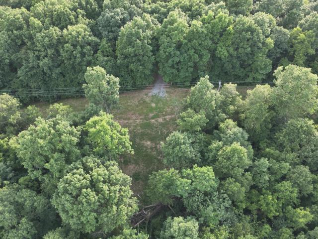 817 Galbraith Road