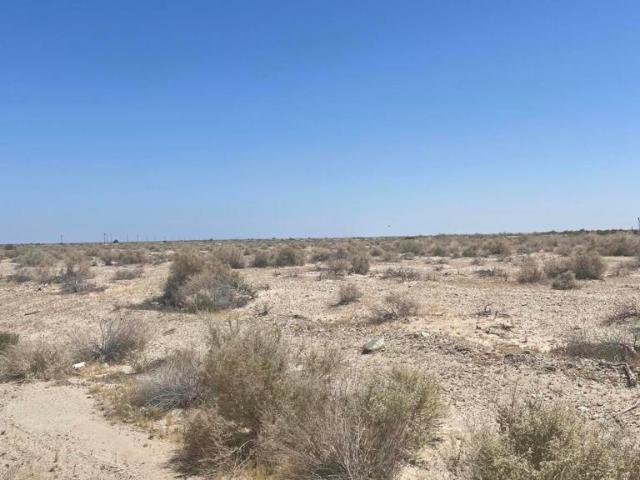 817 Salton Drive