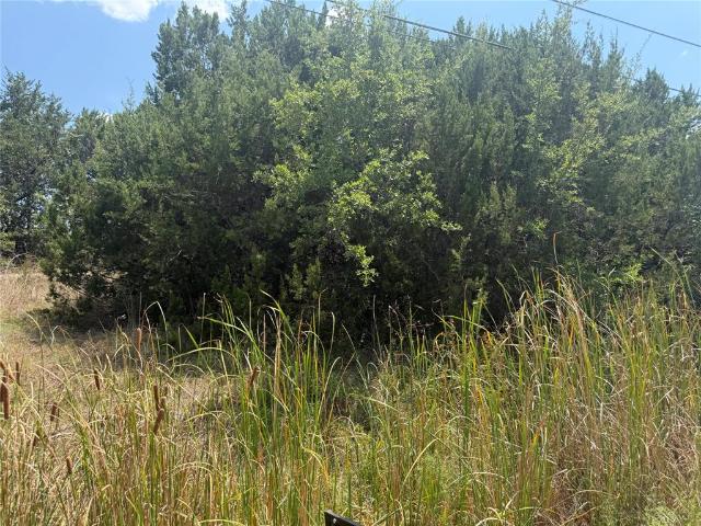 817 Pawnee Trail