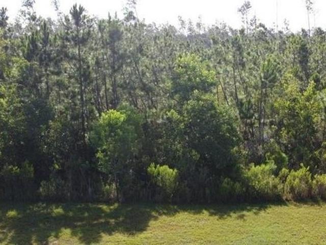817 Widewater Cir, Wewahitchka, FL 32465