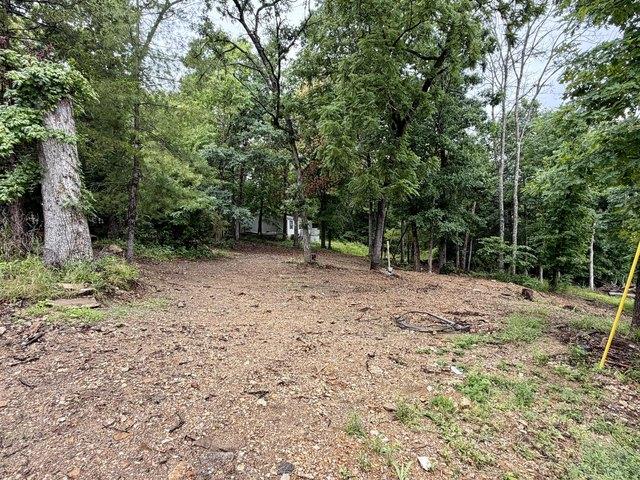 817 Taneycomo Rd, Branson, MO 65616