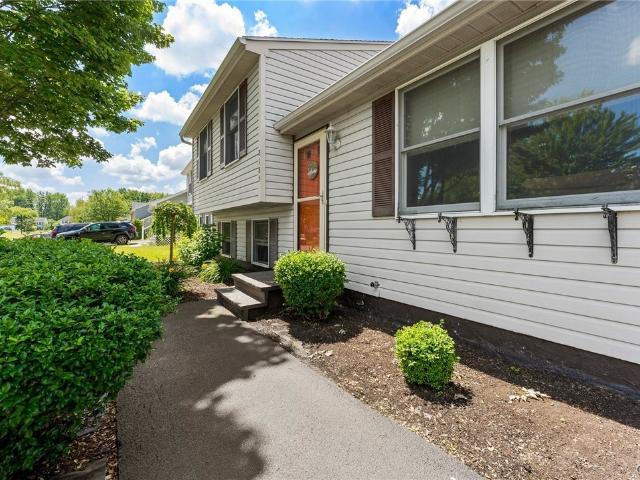 8185 Capricorn Drive