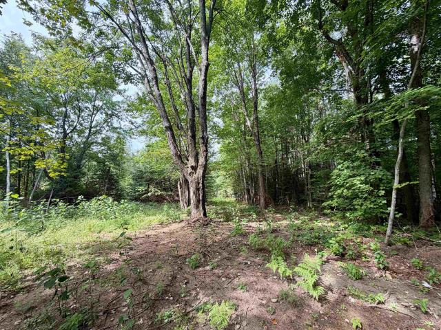 8189 County Road 385 Road