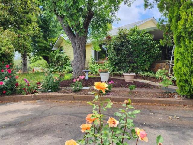 8180 Mt Aukum Rd, Somerset, CA 95684
