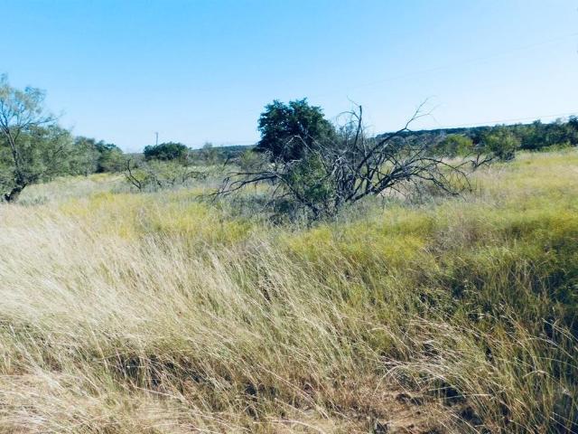 818 819 Feather Bay Dr, Brownwood, TX 76801 | MLS #21133