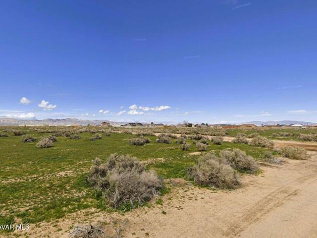 8195 Bolden Drive