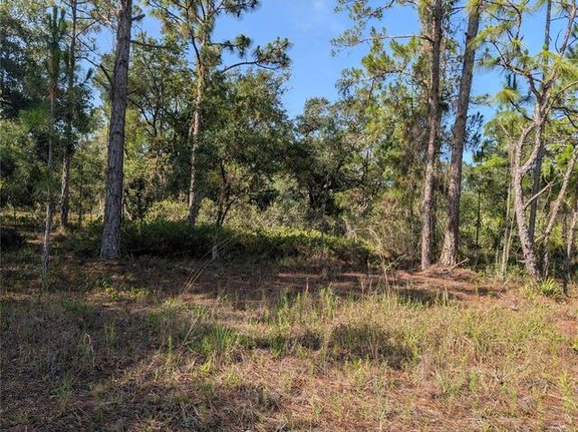 819 and 821 Allamanda Dr, Indian Lake Estates, FL 33855