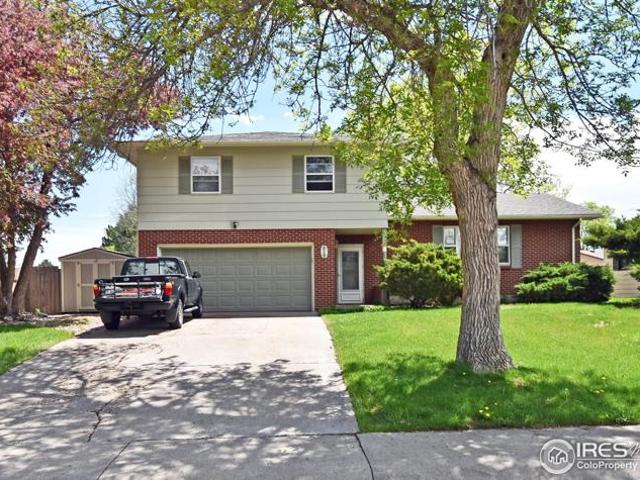819 Elm St, Windsor, CO 80550