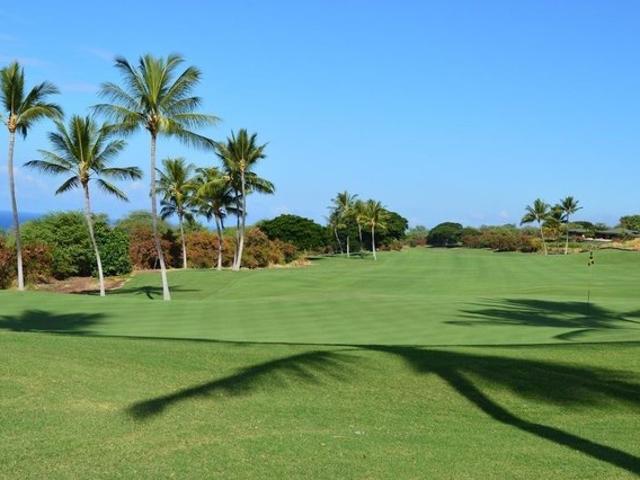 81 474 Kaoo St, Kealakekua, HI 96750