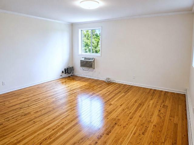 81 64 nd Avenue 3rd Fl