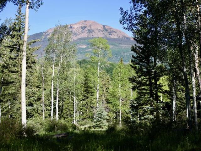 81 Wagoneer Rd Lot 66, Placerville, CO 81430