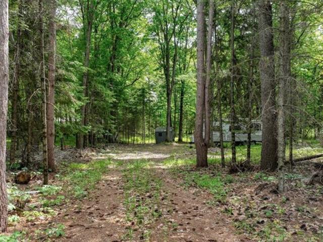 81 Acre on Chippewa Ave, Holcombe, WI 54745