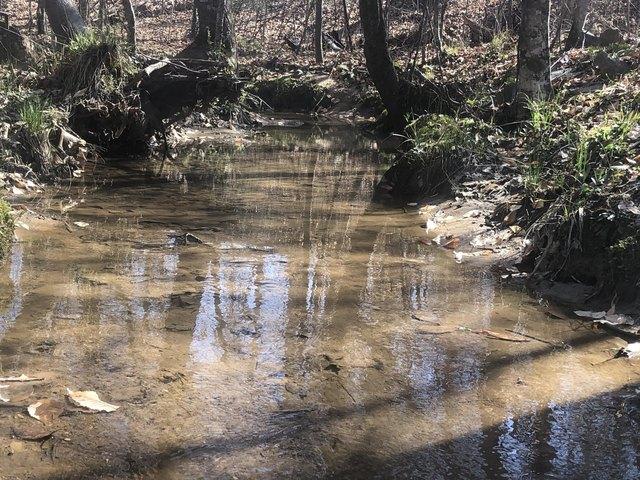 81 Acres, Alexander City, AL 35010