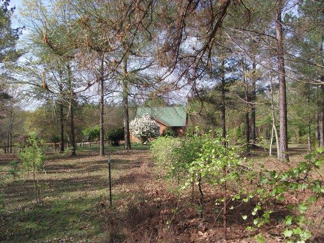 81 Brady Rd, Buena Vista, GA 31803