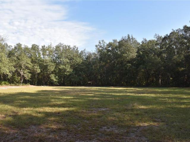 81 Clouds Ave, Interlachen, FL 32148 | MLS #OM715398